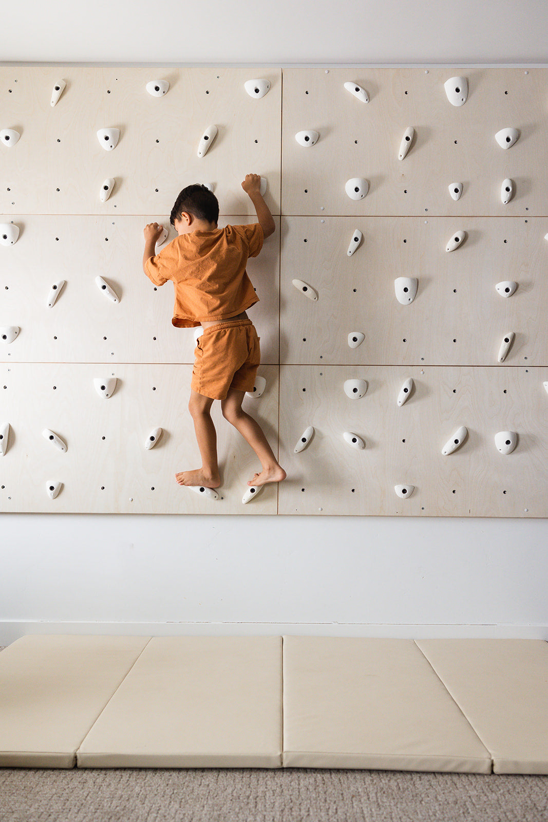 Home Climbing Walls & Playrooms – Tree Frog Play