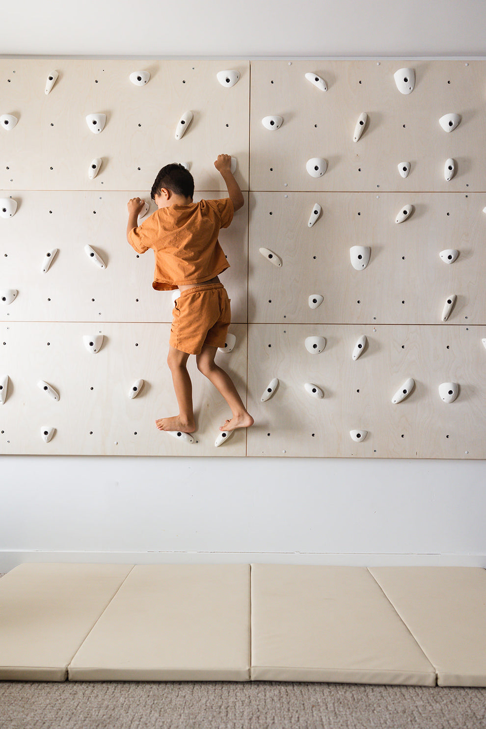 Climbing Wall Gallery – Tree Frog Play