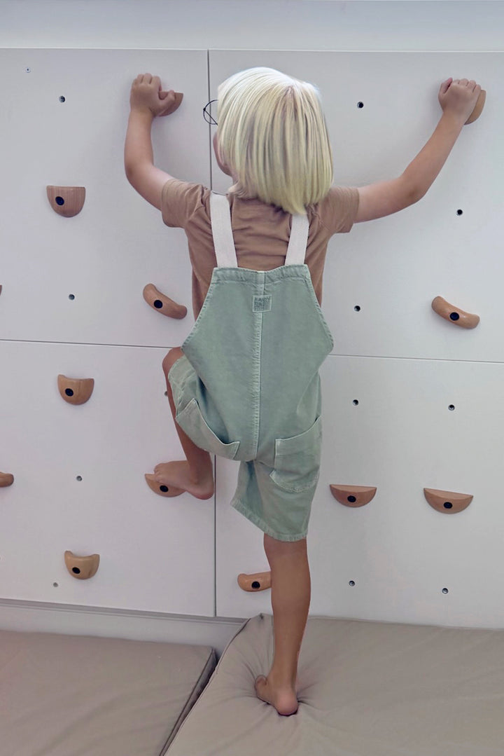 Parade of Homes 2025 with Valor Homes – Tree Frog Play