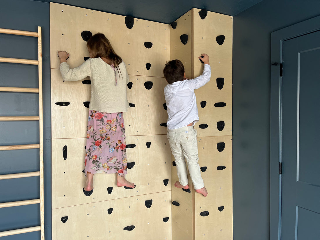 Climbing Wall Gallery – Tree Frog Play